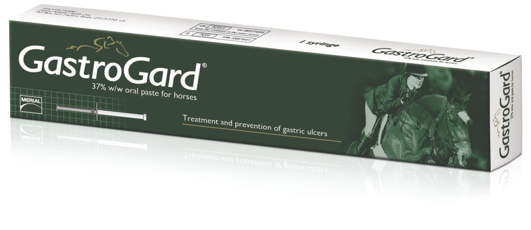 Gastrogard for Horses - Horse Medication | The PharmPet Co