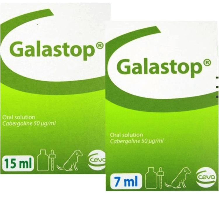 Galastop Oral Solution for Dogs | The PharmPet Co