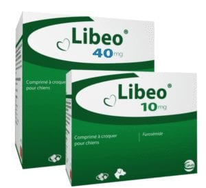 Libeo Flavour Tablets for Dogs | The PharmPet Co
