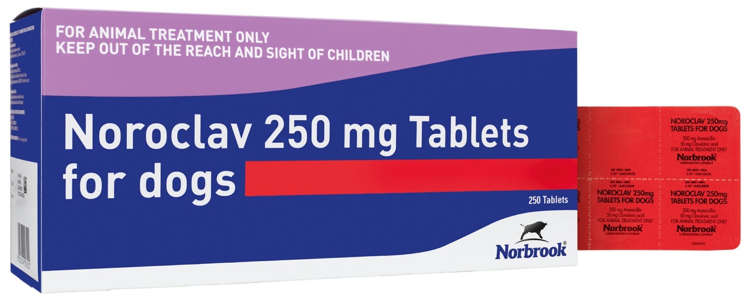 Noroclav Tablets | The PharmPet Co
