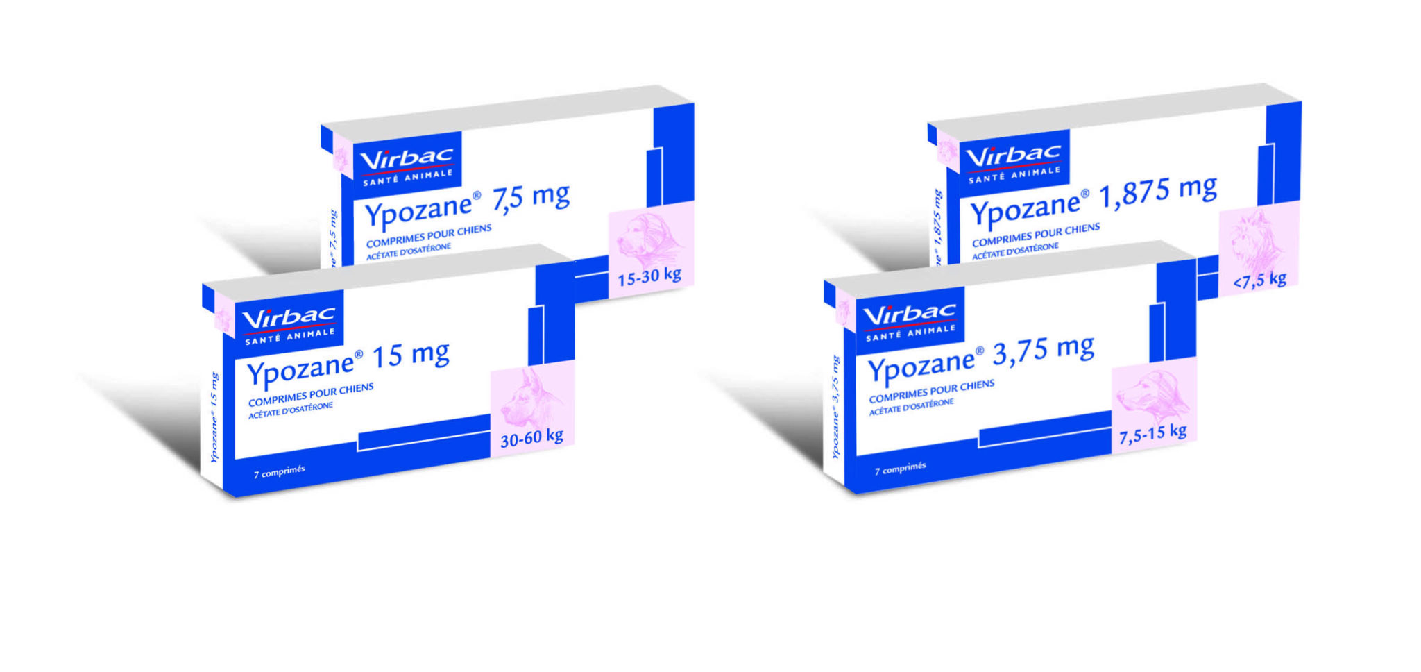 Ypozane Tablets from £18.99