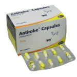 Prescription Medicine for Pets | Buy Pet Drugs Online