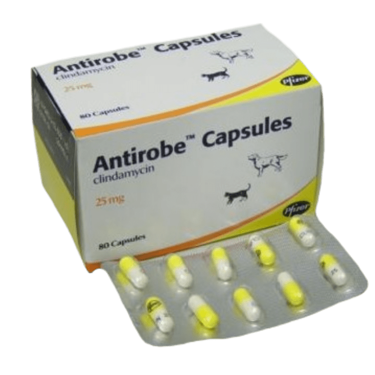 Antirobe Capsules | The PharmPet Co