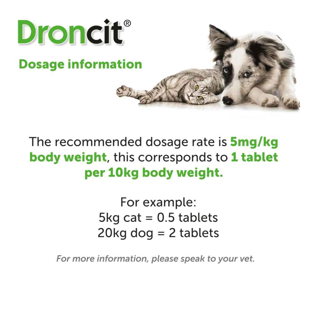 Droncit® Tablets for Cats and Dogs - Tapeworm Treatment
