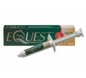 Prescription Medication for Horses | The PharmPet Co