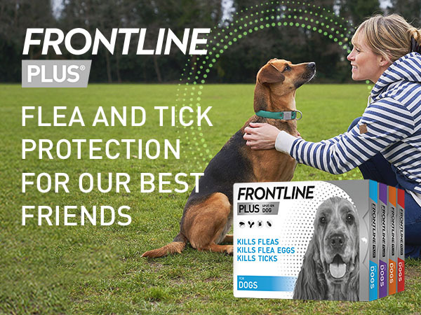 Frontline Plus for Dogs | The PharmPet Co