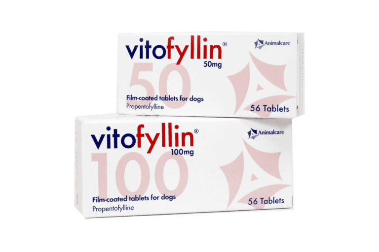 Vitofyllin Tablets for Dogs | The PharmPet Co