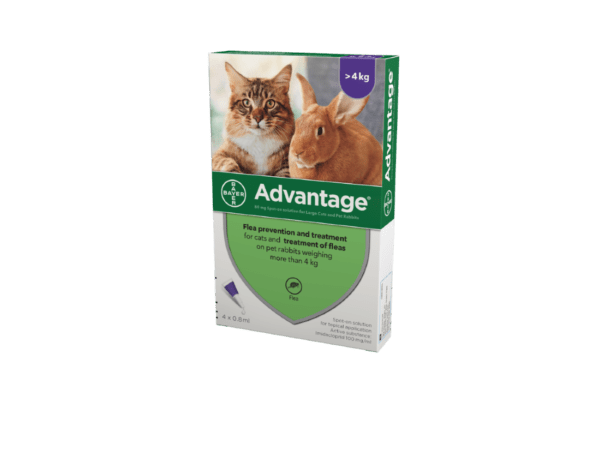 Advantage Spot On Flea Treatment Solution | The PharmPet Co