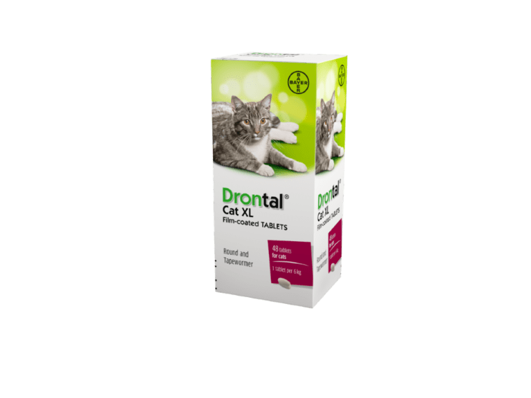 Drontal Cat Xl Worming Tablets | The PharmPet Co