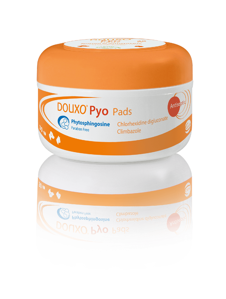 Douxo Pyo Pads | The PharmPet Co