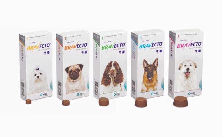 Bravecto Chewable Tablets for Dogs | The PharmPet Co