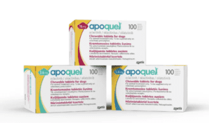 Apoquel Chewable Tablets for Dogs available at The PharmPet Co