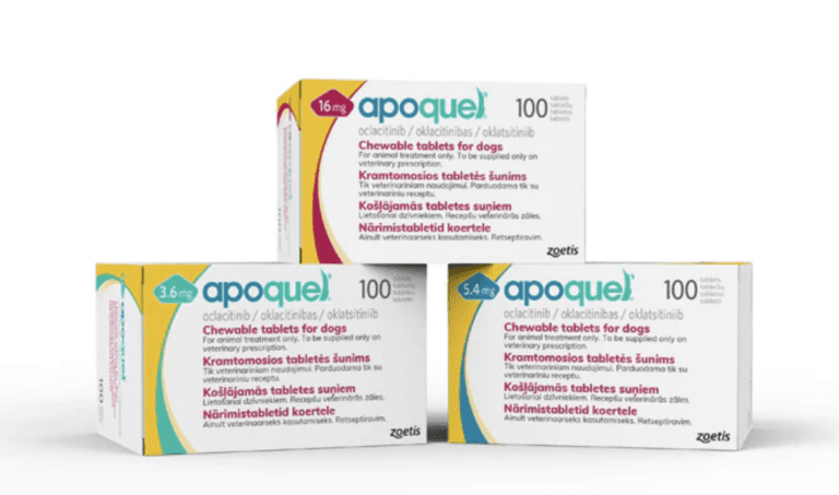 Apoquel Chewable Tablets for Dogs available at The PharmPet Co