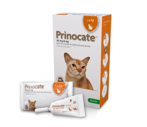 Prinocate Spot-On Solution for Cats | The PharmPet Co