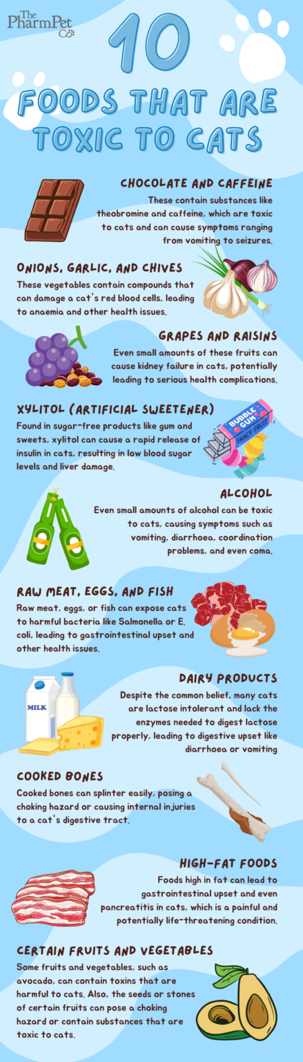 Which Foods Are Toxic To Cats? | The PharmPet Co